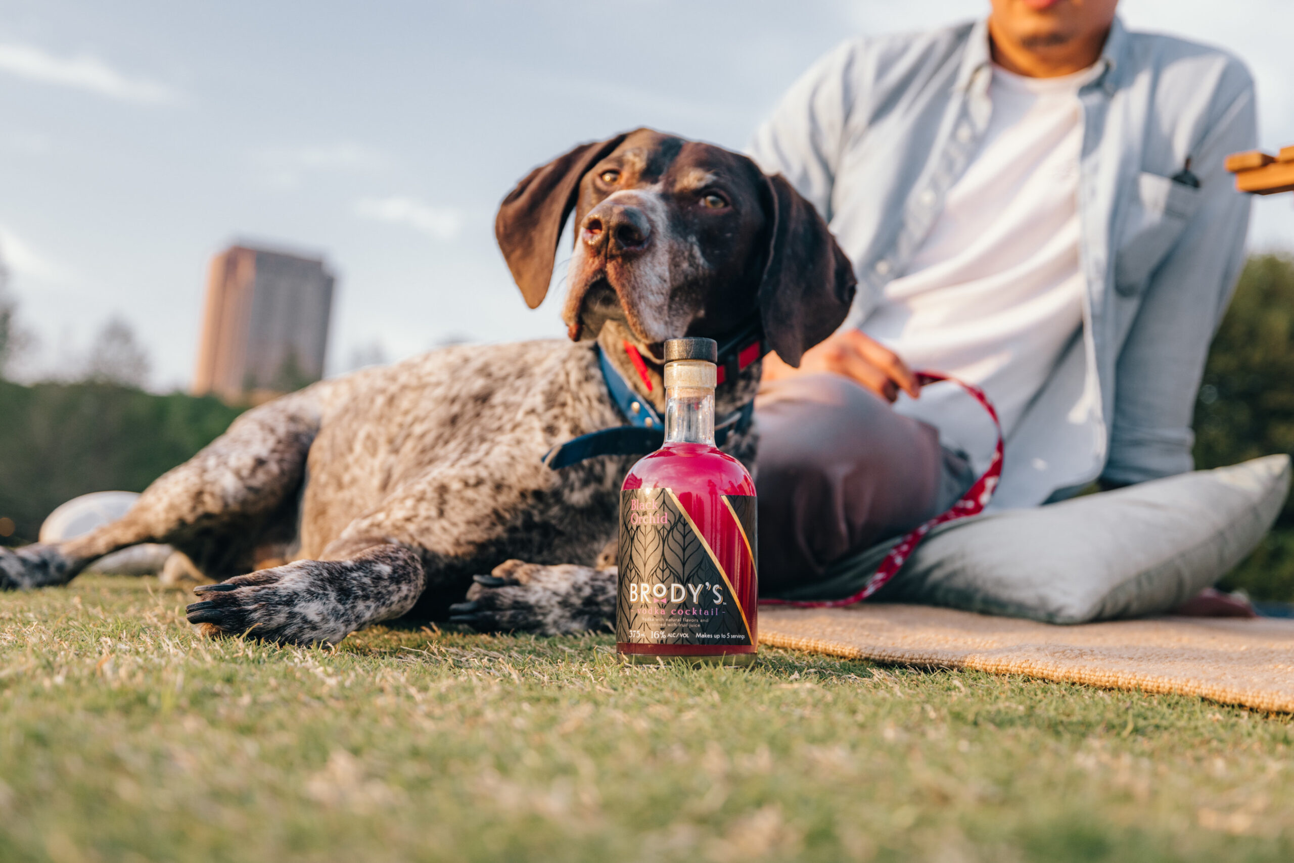 Brody’s Crafted Cocktails Now Available in Foodland Stores Across ...