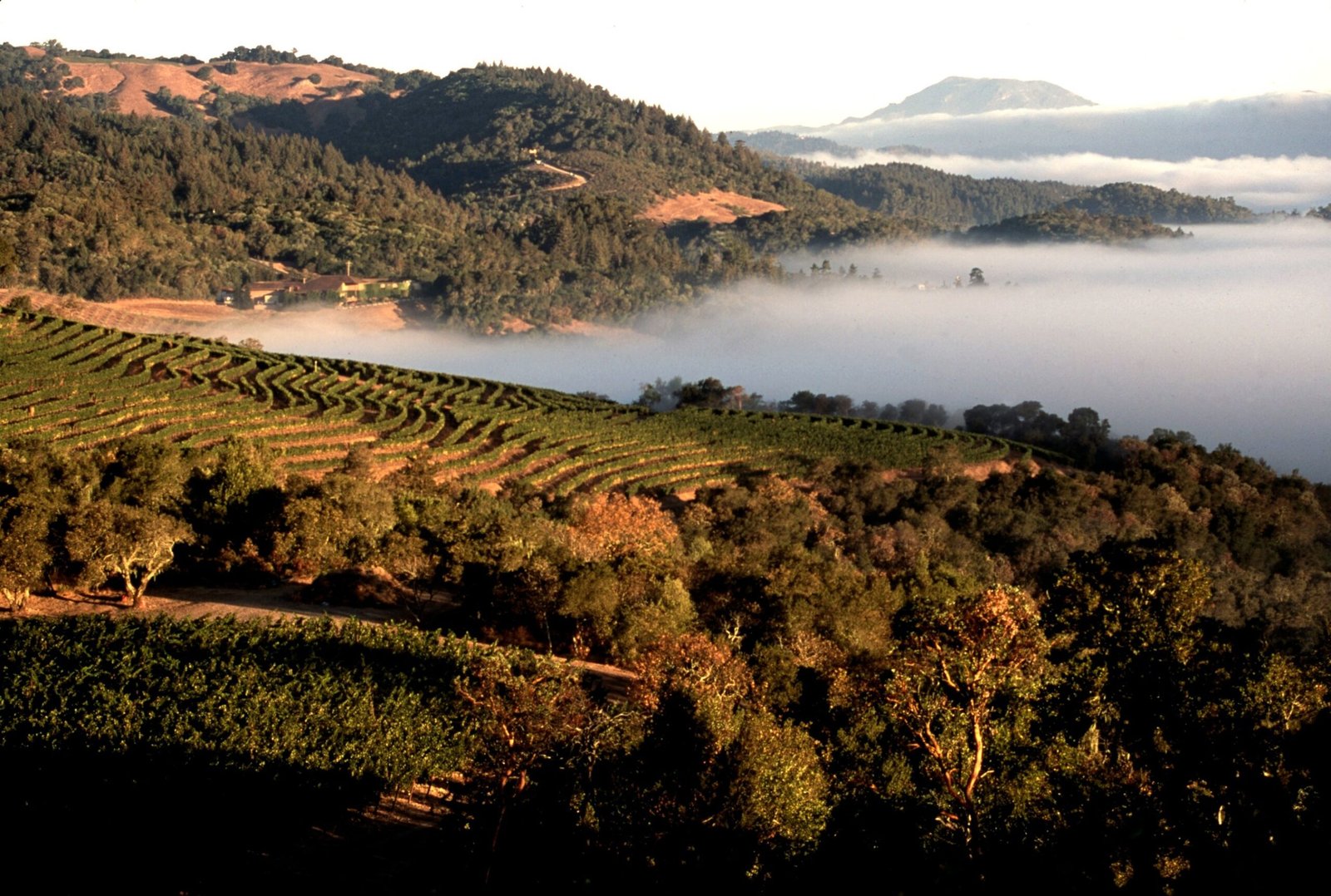 Wynn Las Vegas Debuts Extravagant Wine Dinner Series With Napa Valley’s ...